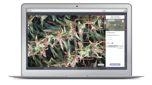 Agricen and Taranis Awarded Grant to Advance Crop Abiotic Stress ...