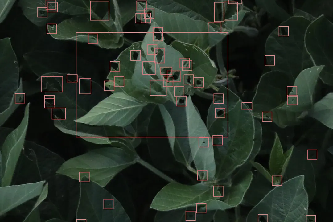 Agtech and foodtech fortify fragile food supply chain - Taranis