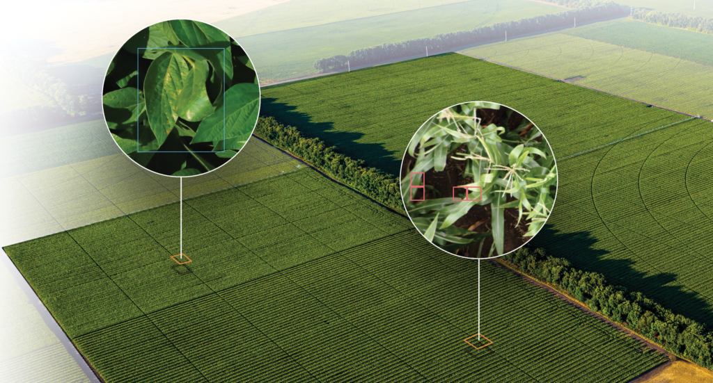 Taranis Introduces AcreForward, Setting a New Standard for Crop Intelligence - Taranis