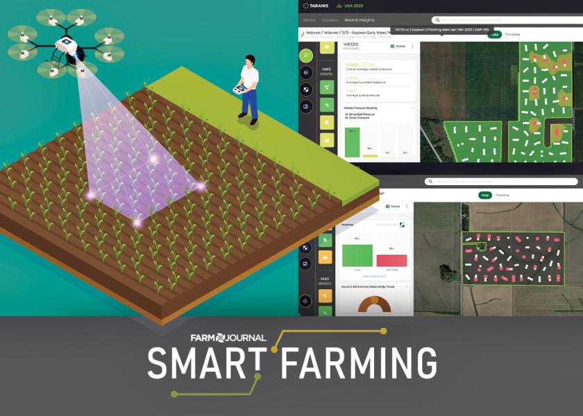 Harvesting Insights: How AI Crop Scouting Is Driving Decisions - Taranis