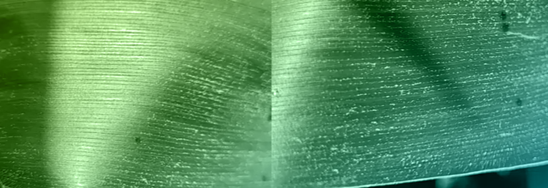 Protecting Yields with Early Tar Spot Detection and Timely Fungicide ...