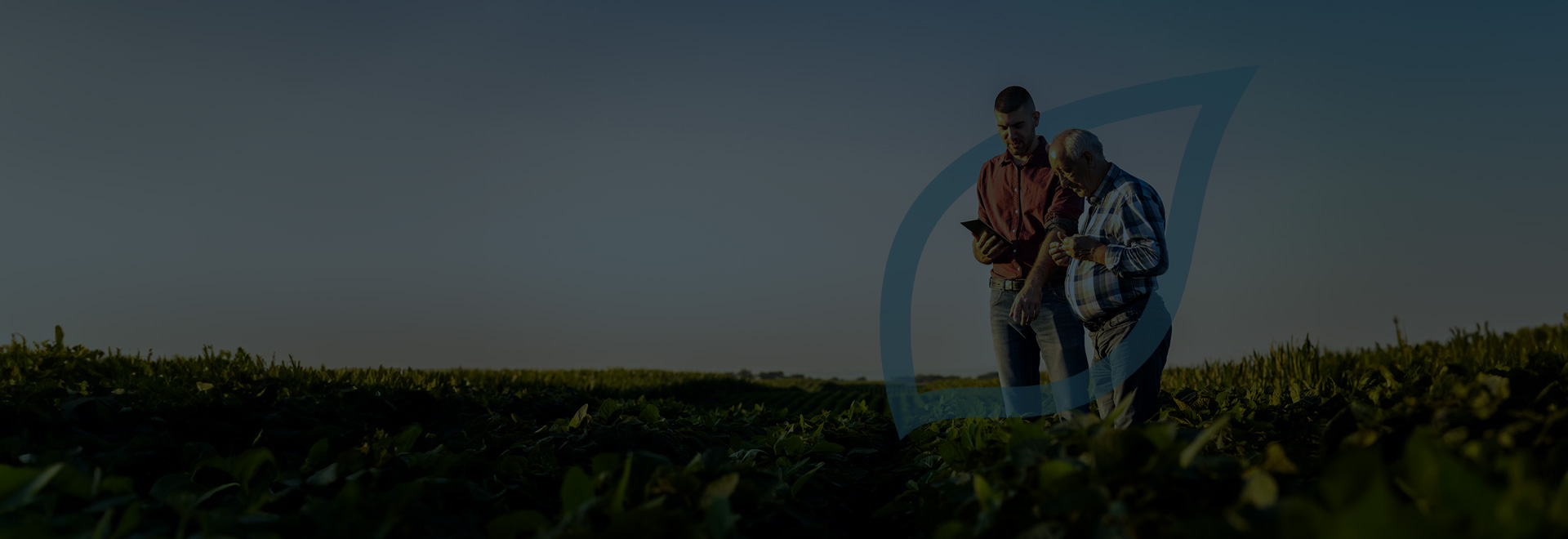 Syngenta Crop Protection and Taranis Partner to Drive AI-Powered ...