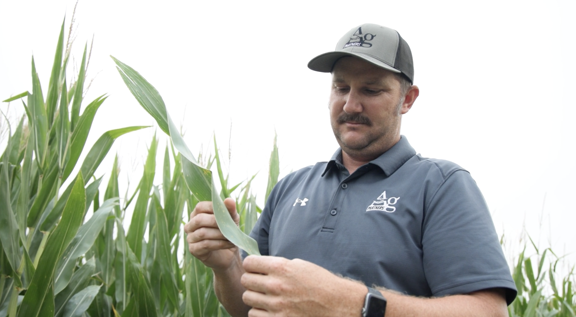 Ag Partners - Taranis