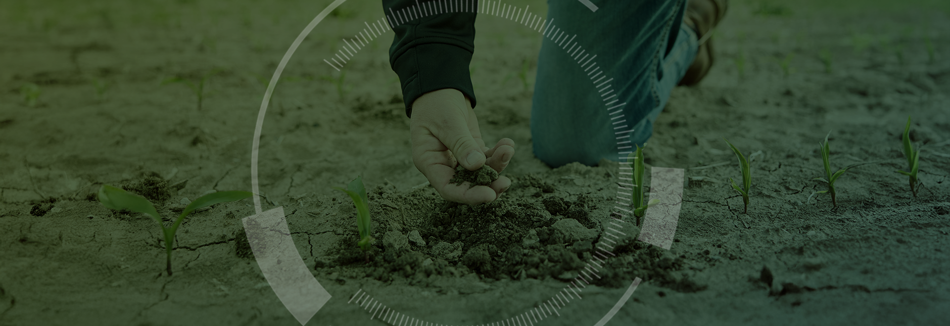 Pivot Bio and Taranis Partner to Expand Access to Conservation Funding ...